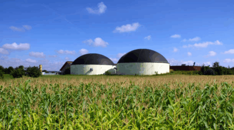 How Renewable Energy Like Biogas Can Help A Business - REURASIA